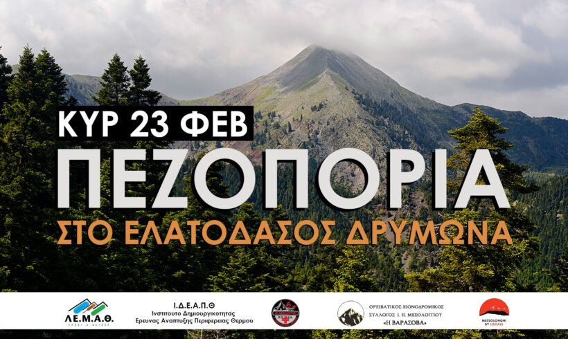 Η ΙΣΤΟΡΙΑ ΜΑΣ - Ι.Δ.Ε.Α.Π.Θ.